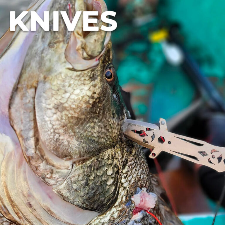 ERMES SUB – Spearfishing